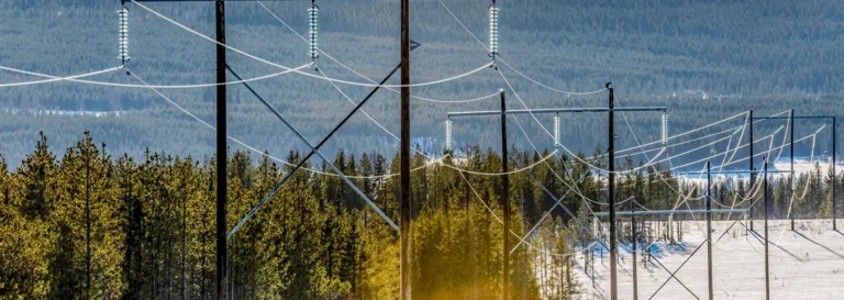 About Eleda – Eleda