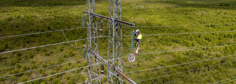 Our companies – Eleda